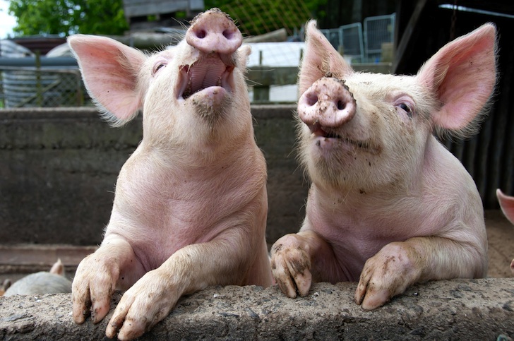 20 Weird and Fun Facts about our World - https://10awesome.com